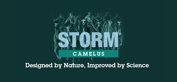 STORM® Camelus specialist nutritional support for racing camels,