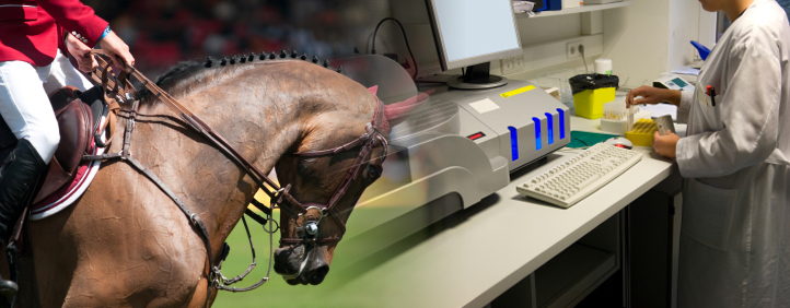 Prohibited substances in feed and supplements in equine sport