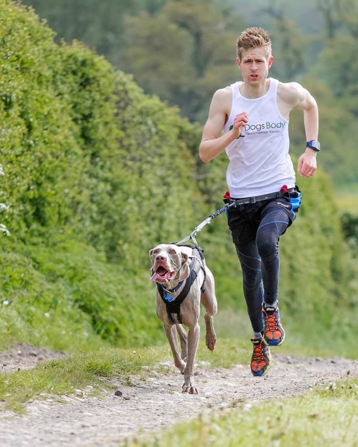Ben Robinson canicross champion uses STORM Canis for his dogs